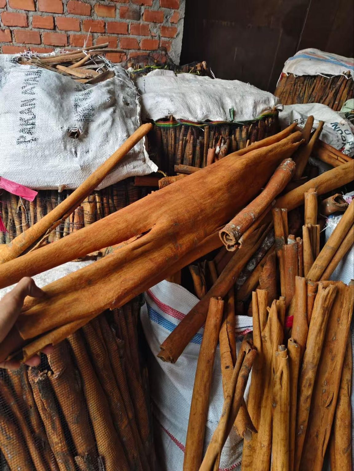 Obat Tradisional China